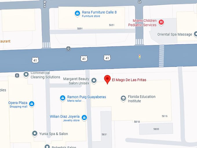 16. el mago de las fritas map