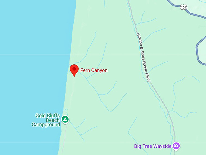 16. fern canyon map