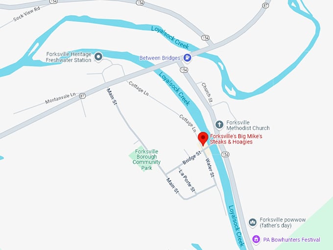 16. forksville’s big mike’s steaks & hoagies map
