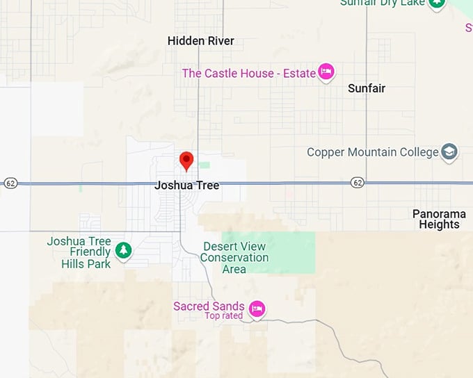 16. joshua tree