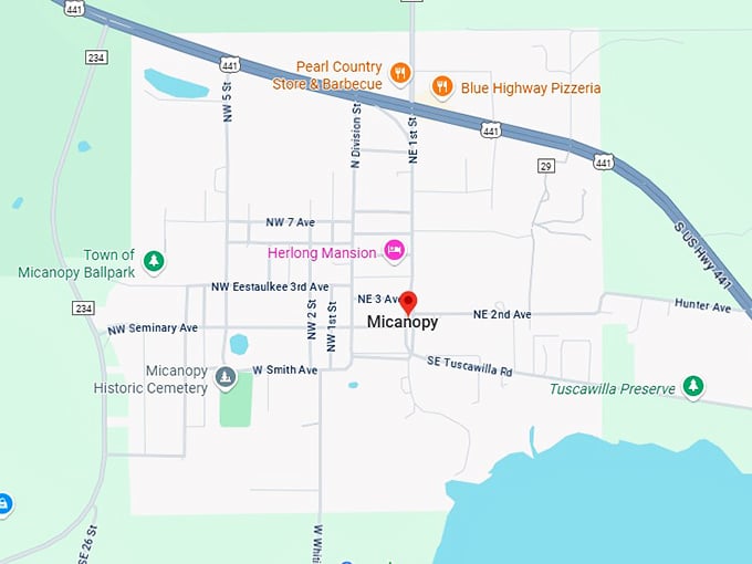 16. micanopy map