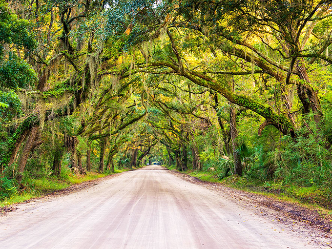 Nature's own cathedral welcomes you with open arms and ancient wisdom along this magical byway.
