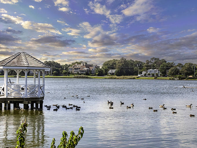 A white gazebo stands sentinel over Silver Lake, where ducks gather like old friends catching up on gossip.
