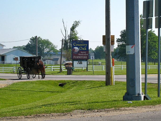 A horse and buggy trotting past Country Oak Furniture—where Amish craftsmanship meets modern admirers on Shipshewana's charming roads.