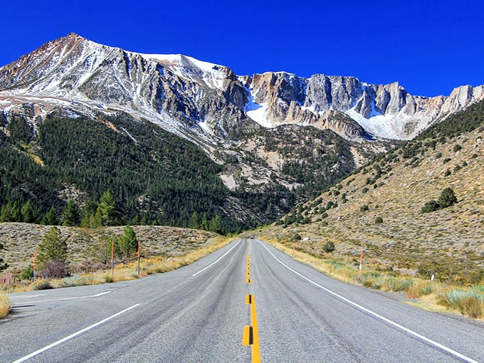 The road to heaven? Tioga Pass stretches toward snow-capped peaks like nature's red carpet to the stars.