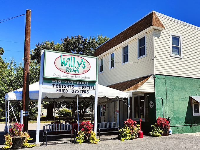 A mint-green oasis of comfort food with a sign promising fried oysters – but locals know the chicken is the real headliner here!