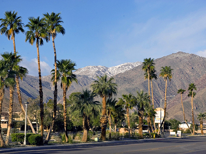 Winter in Borrego Springs brings snow-capped mountains as a backdrop to swaying palms – nature's version of a climate identity crisis!