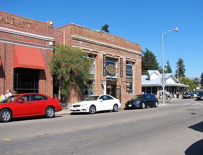 These historic brick storefronts in Cambria aren't just pretty faces—they're filled with treasures waiting to be discovered by curious visitors.