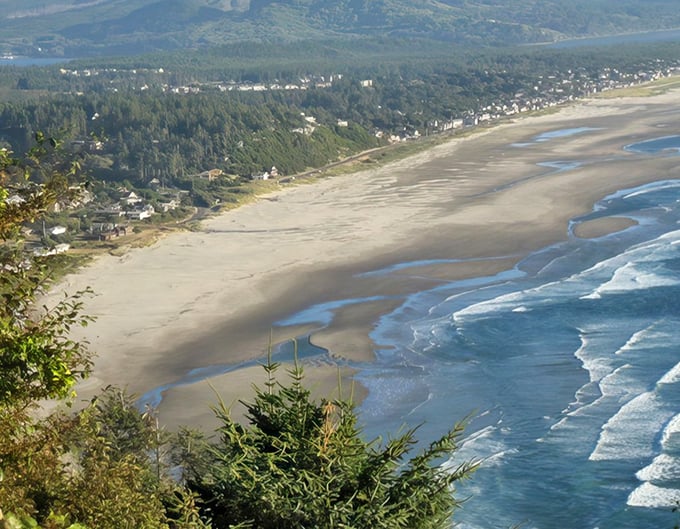 Cannon Beach: Nature's perfect canvas – where endless shoreline meets the Pacific's rhythmic waves. I'd happily trade my city apartment for this view!