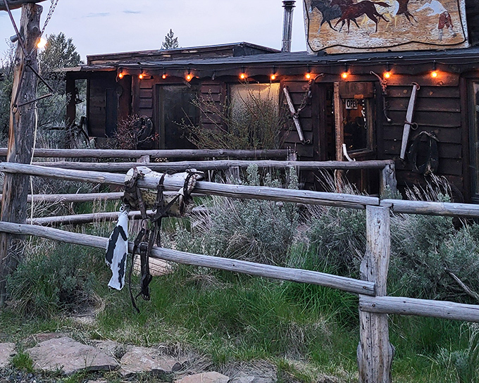 Twilight transforms Cowboy Dinner Tree into a rustic dream. Those string lights aren't just decoration—they're a beacon for serious steak lovers.