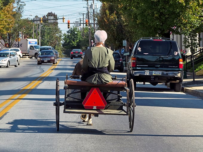 Where modern meets tradition! An Amish buggy navigates Ephrata's streets, carrying treasures from farm to table.