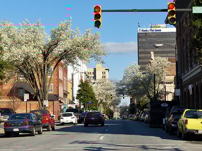 The historic brick buildings of Lynchburg stand proudly against blue skies, framed by flowering trees that make commutes gorgeous.
