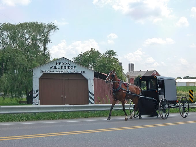 Herr's Mill Bridge welcomes Amish buggies just as it has for generations – a postcard moment from Paradise.