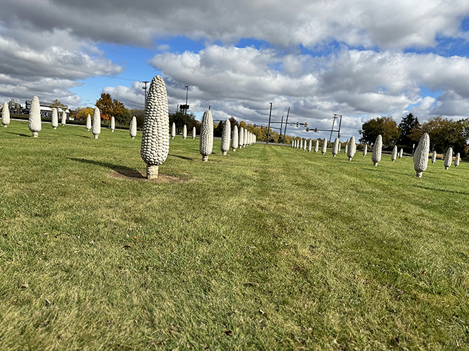 Rows of six-foot-tall concrete corn create an oddly mesmerizing pattern against the Ohio sky. Art that's both corny and profound.