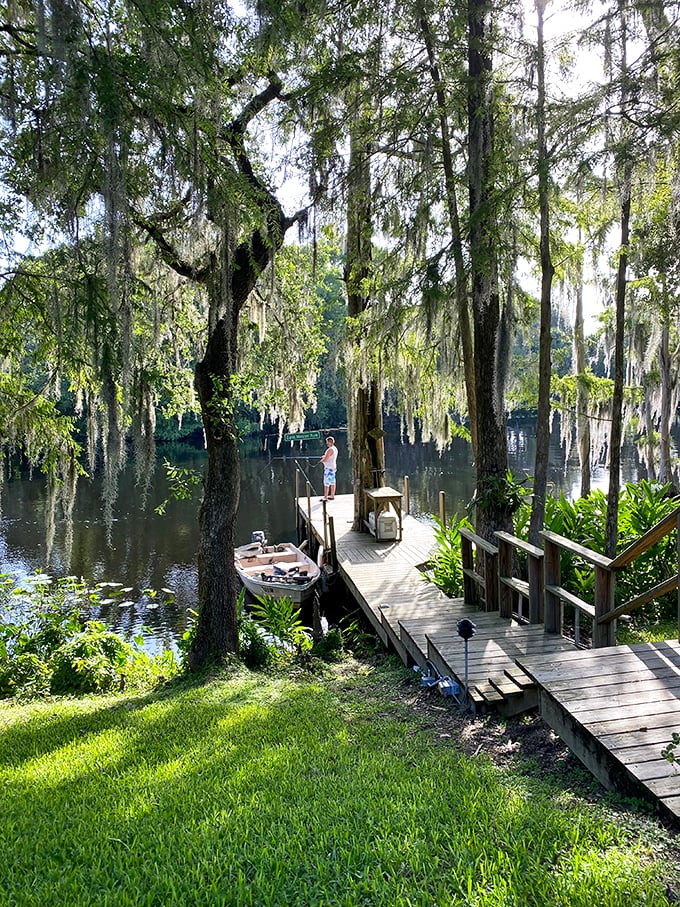 Spanish moss dangles like nature's own decorations while a lone fisherman demonstrates the art of Florida patience.