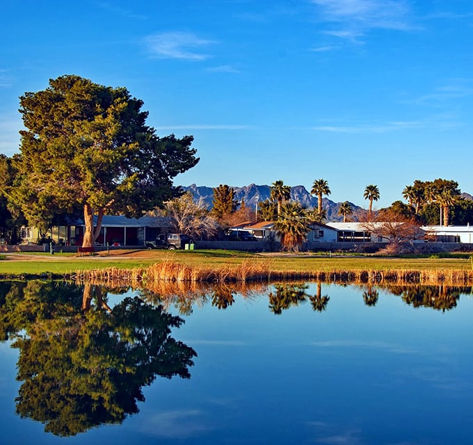 Mirror, mirror on the pond. Blythe's serene landscapes offer retirement-worthy reflections with mountain backdrops that rival expensive postcards.