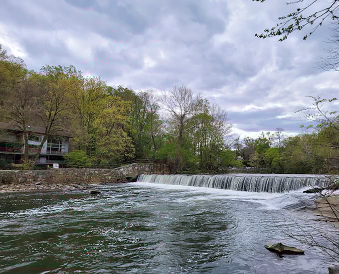 The Brandywine's gentle cascade creates nature's white noise machine – infinitely better than those apps on your phone.