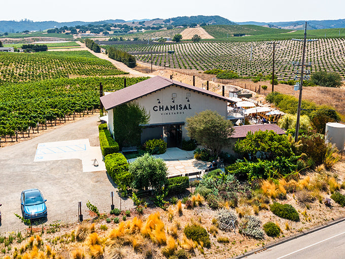 Chamisal Vineyards proves that paradise comes with a tasting room and rolling vineyard views.