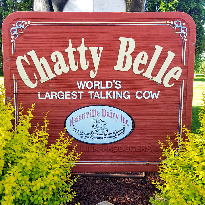 The sign doesn't lie—this is indeed the "World's Largest Talking Cow," a title that probably doesn't face much competition but impresses nonetheless.