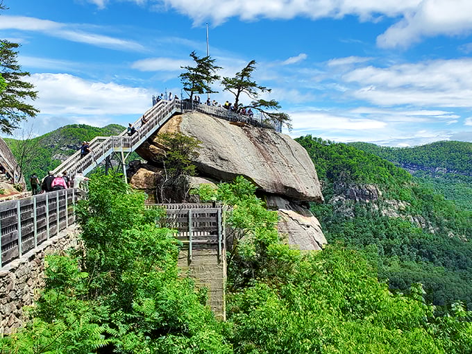 Nature's observation deck on a perfect day – where the sky seems close enough to touch and the horizon stretches farther than your retirement plans.
