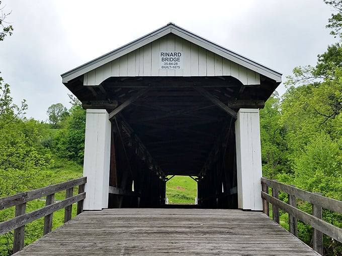 Step through this portal where modern worries fade faster than your smartphone battery on a long road trip.