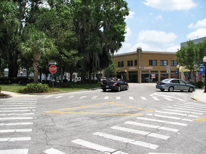 Downtown Sebring's tree-lined streets offer shade and charm in equal measure – a refreshing alternative to Florida's concrete jungles.