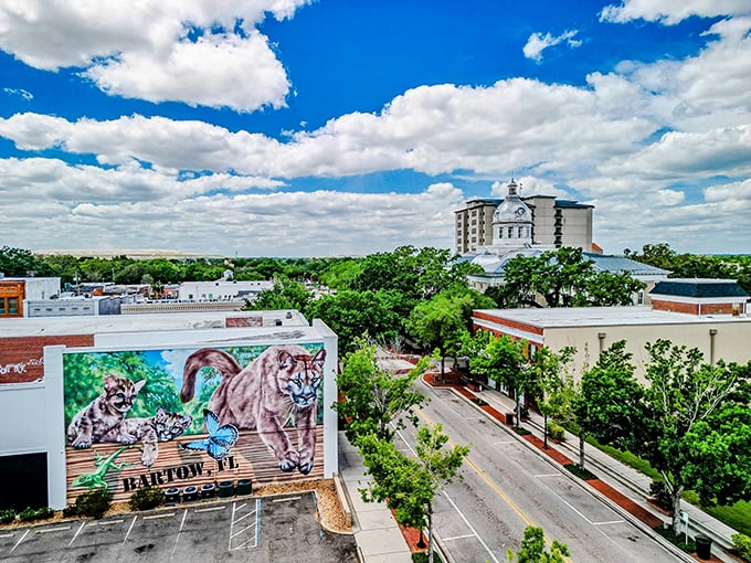 Bartow's skyline showcases its blend of historic and modern, complete with a vibrant mural celebrating local wildlife – Florida's natural beauty on display.