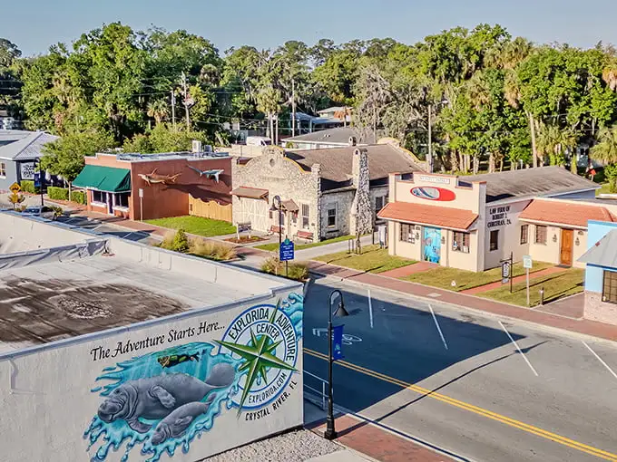 Downtown Crystal River greets visitors with colorful murals celebrating its manatee heritage. Small-town charm with a splash of artistic flair. 