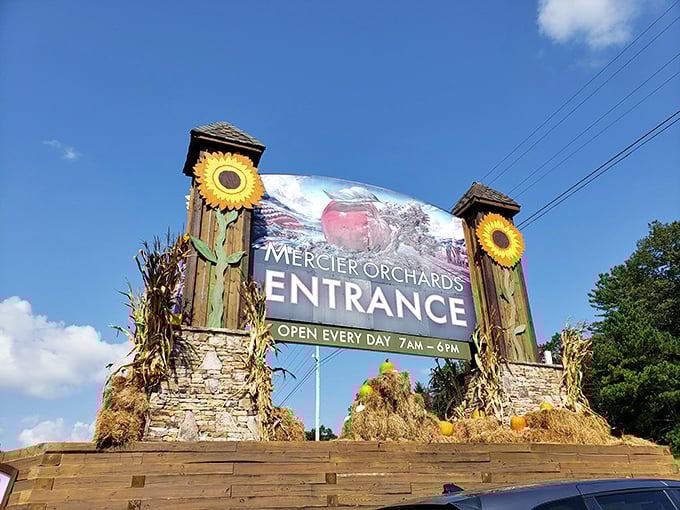The entrance to fruit heaven announces itself with rustic charm and sunflower flair – nature's way of saying "good things this way."