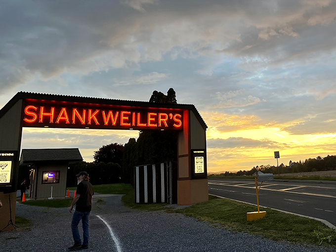 That iconic neon glow has welcomed moviegoers since before talkies were a thing. The entrance sign promises nostalgia delivered in Technicolor.