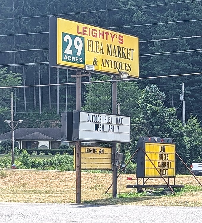 The promise of 29 acres of bargain hunting beckons from this iconic yellow sign. Low prices guaranteed—your wallet's new best friend.