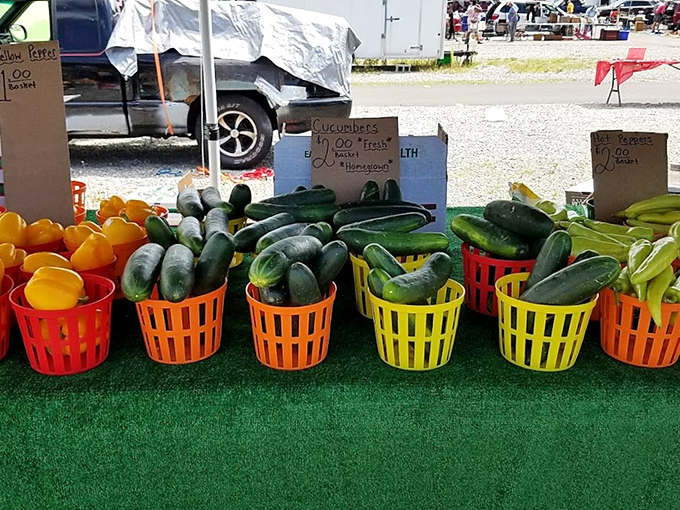 Nature's bounty in technicolor baskets! These farm-fresh cucumbers and squash haven't traveled far, unlike most of what's in your supermarket.