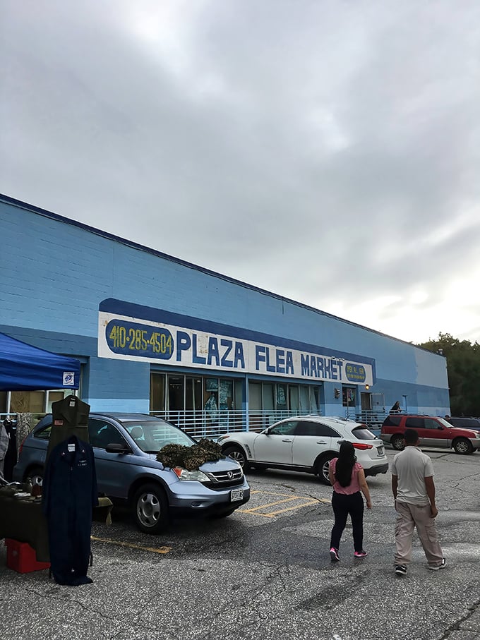 Approaching this unassuming blue building is like finding the entrance to Narnia—except instead of a wardrobe, it's filled with everything else.