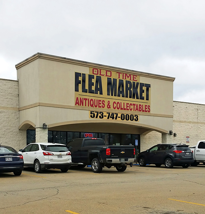 Where bargain hunters and nostalgia seekers converge—this parking lot fills with treasure hunters every weekend, each car representing a different quest.
