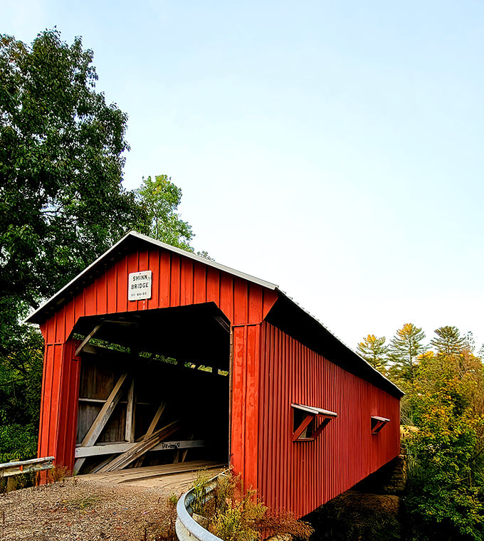 Framed by Ohio's lush greenery, the bridge's weathered red siding tells stories of horse-drawn carriages, Model Ts, and countless Sunday drives.