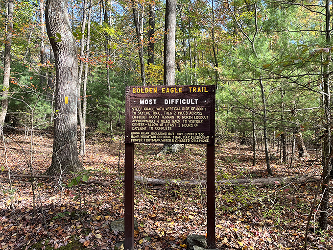 Warning: adventure ahead! The Golden Eagle Trail doesn't sugarcoat its challenges—it's like the brutally honest friend we all need in our lives.