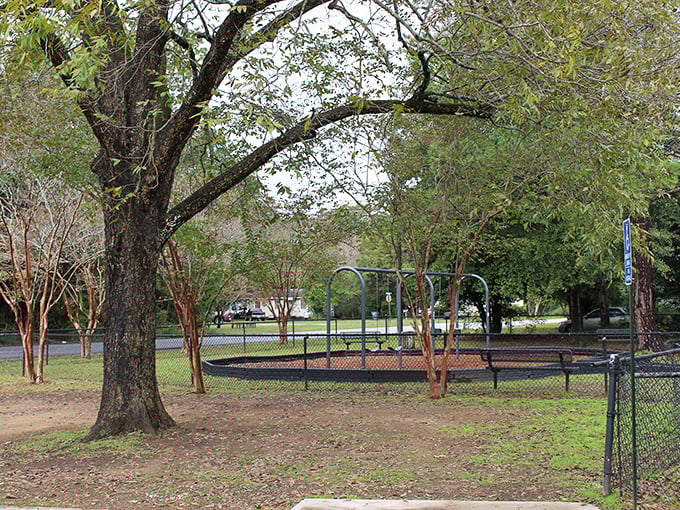 Nature and play coexist under ancient Georgia trees, where kids burn energy while parents appreciate the shade—retirement perks at their finest.