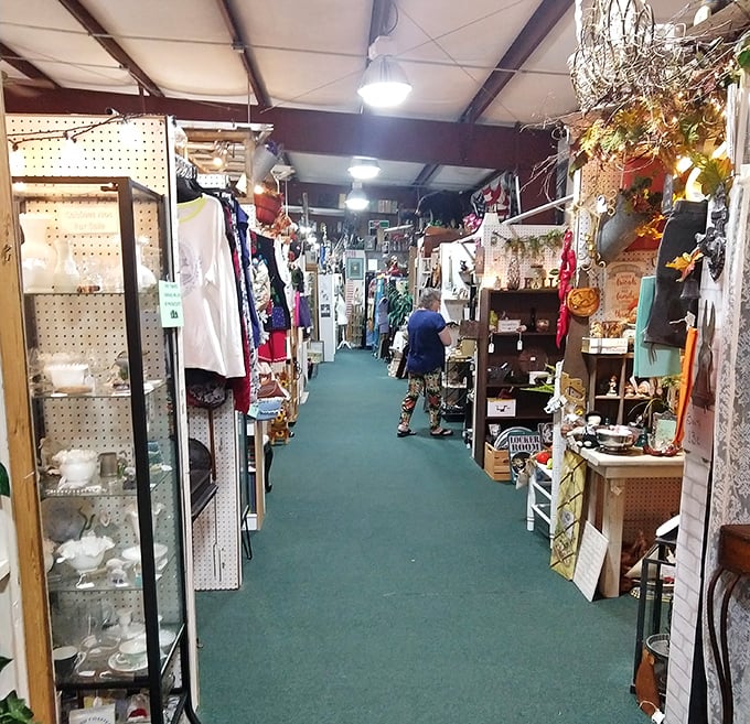 Narrow aisles create the perfect treasure hunt atmosphere. Every step down this green-carpeted path might lead to your next "I can't believe I found this!" moment.