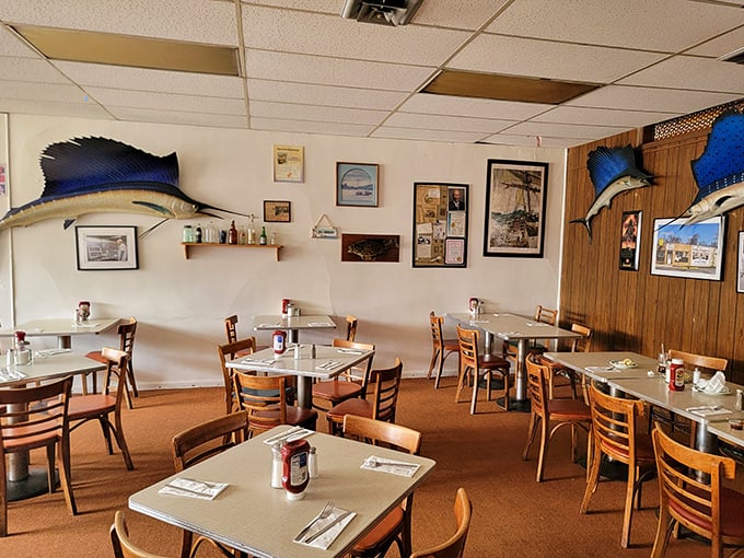 Mounted sailfish watch over diners like aquatic guardians of quality. This dining room hasn't changed in decades, and that's precisely its charm.