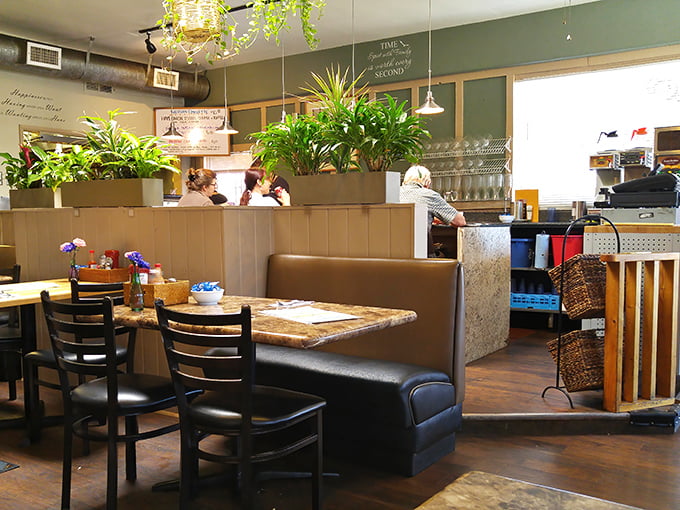 Indoor plants cascade from the ceiling, creating a cozy oasis where comfort food meets comfort seating. Breakfast with a side of photosynthesis.