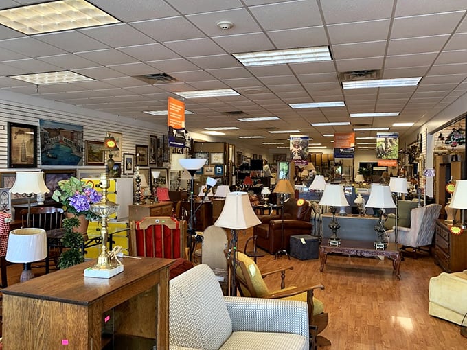 Furniture heaven awaits! Lamps stand at attention like eager contestants on a game show, each hoping to be your next living room star.