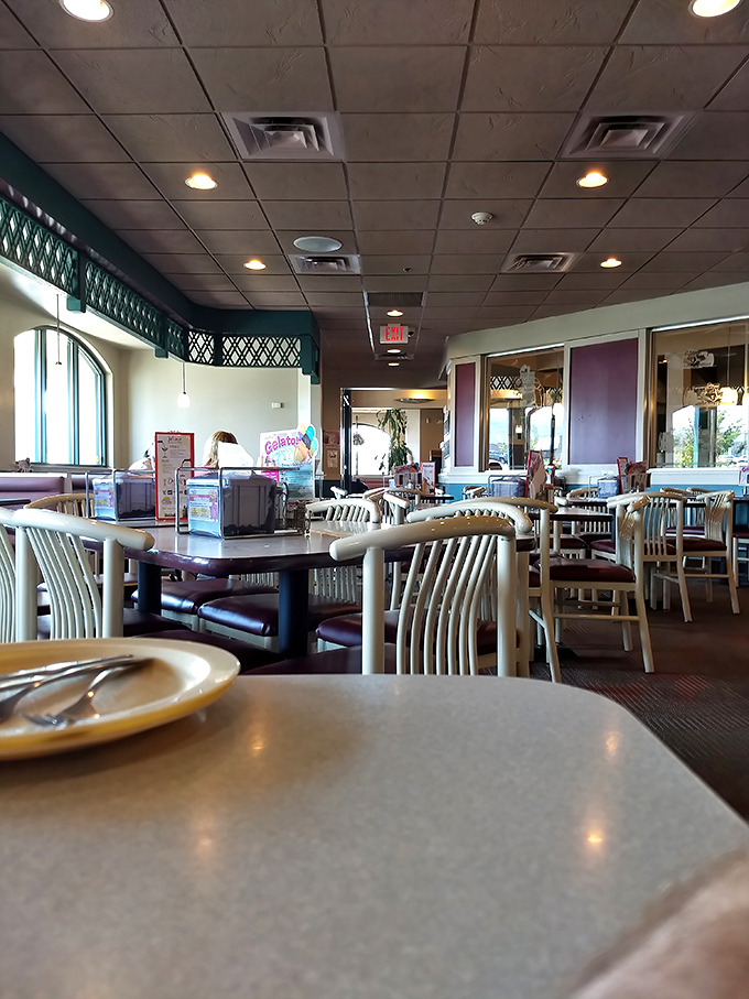Comfortable booths and warm lighting create that "everybody knows your name" vibe—minus Norm and Cliff at the bar.