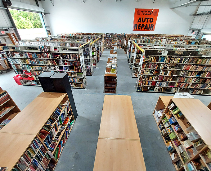 Endless rows of knowledge create a bibliophile's dream maze. Getting lost here isn't a problem—it's the entire point. 