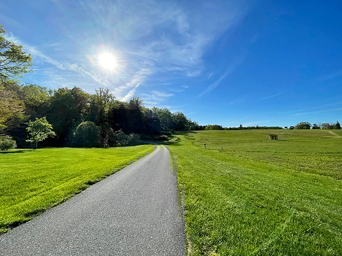 The road less traveled? Not exactly, but certainly the path more scenic. Bellevue's paved trails offer accessibility without sacrificing that "away from it all" feeling.
