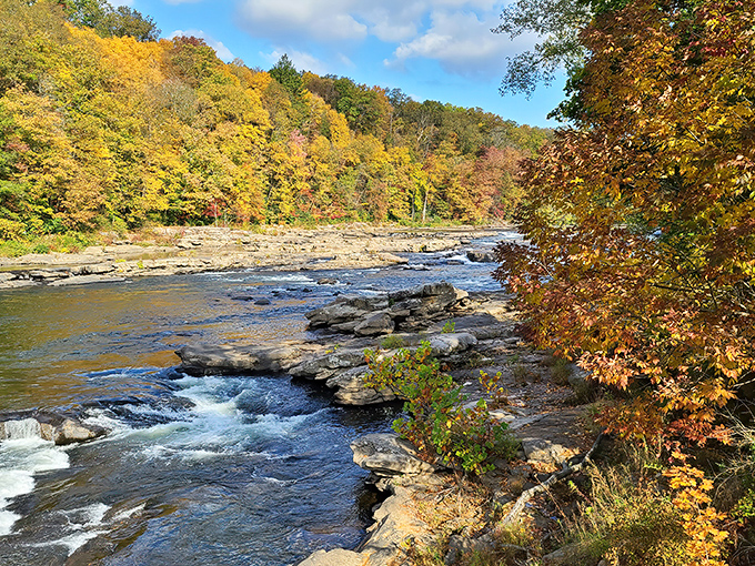 Autumn paints the Youghiogheny River gorge with a palette that would make Bob Ross weep with joy. Nature's greatest art show happens annually, no tickets required.