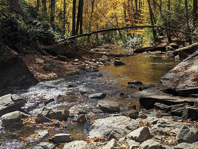 The aftermath of all that drama – Looking Glass Creek continues its journey with a quiet confidence, like a Broadway star casually exiting stage left.