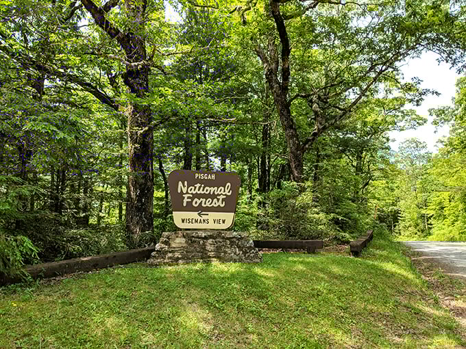 The welcoming sign to paradise. This humble marker is your gateway to one of North Carolina's most breathtaking natural wonders.