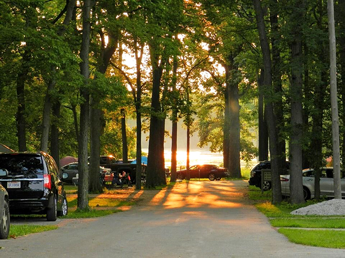 Golden hour magic filters through the trees at the campground. That moment when you realize your camping spot rivals five-star accommodations—just with better views.