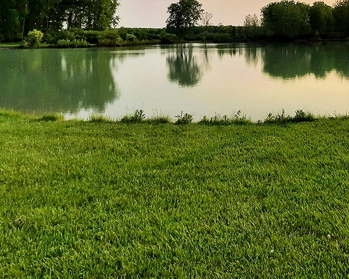 Mirror, mirror on the land—this tranquil pond reflects the surrounding greenery like nature's own Instagram filter. No photoshop required. 
