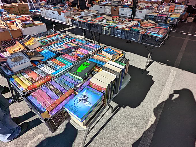 Literary archaeology at its finest. Spines of every color beckon from tables groaning under the weight of stories waiting to be rediscovered.